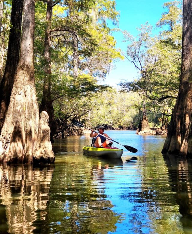 Swamp Kayaking Tour in Panama City Beach | Epic Adventures